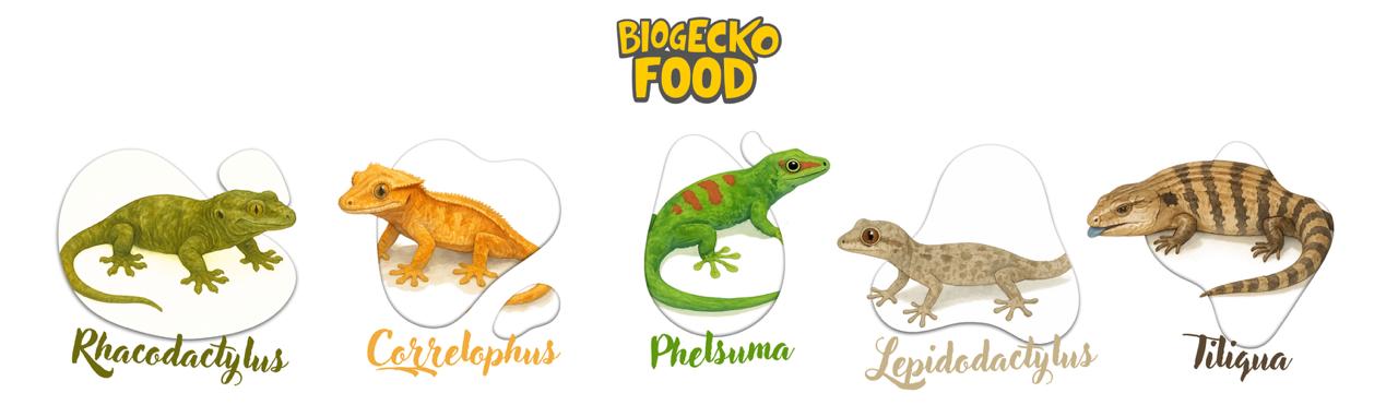 BioGecko Food Banana & Strawberry – 100g – Complete Diet for Crested ...